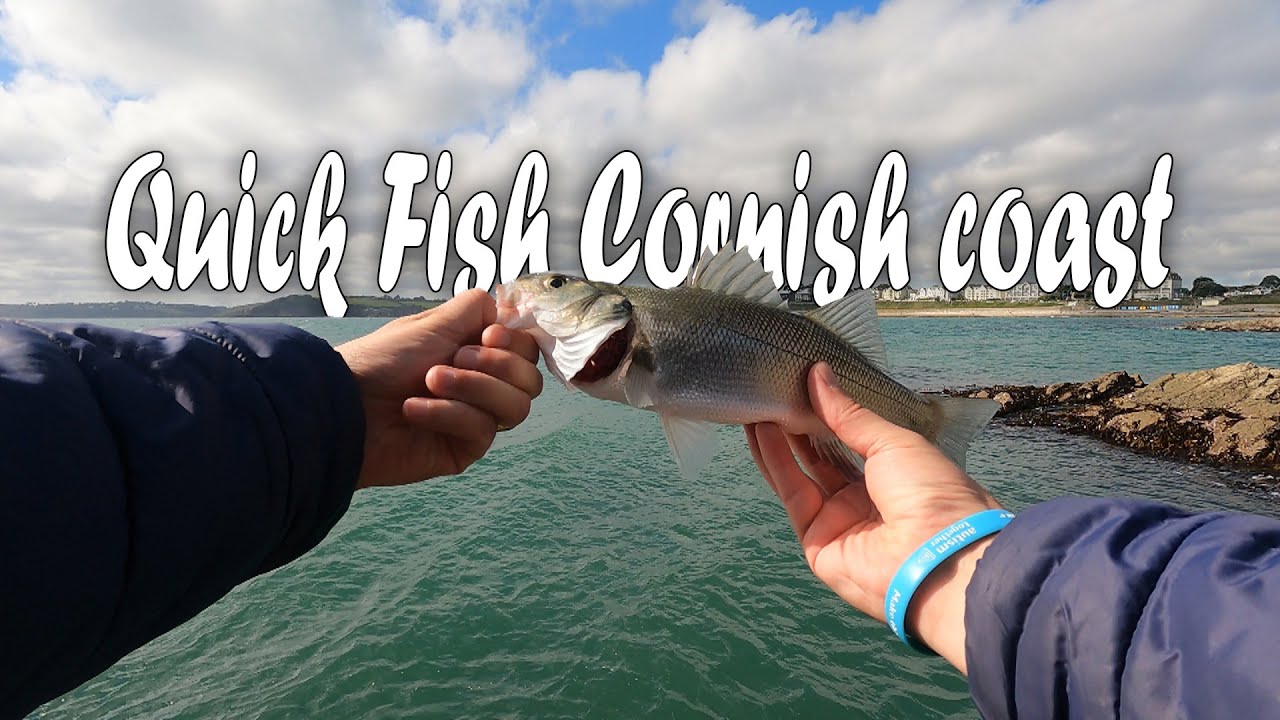 Greased up my old reel and had a quick Bass and Wrasse fish :) - YouTube