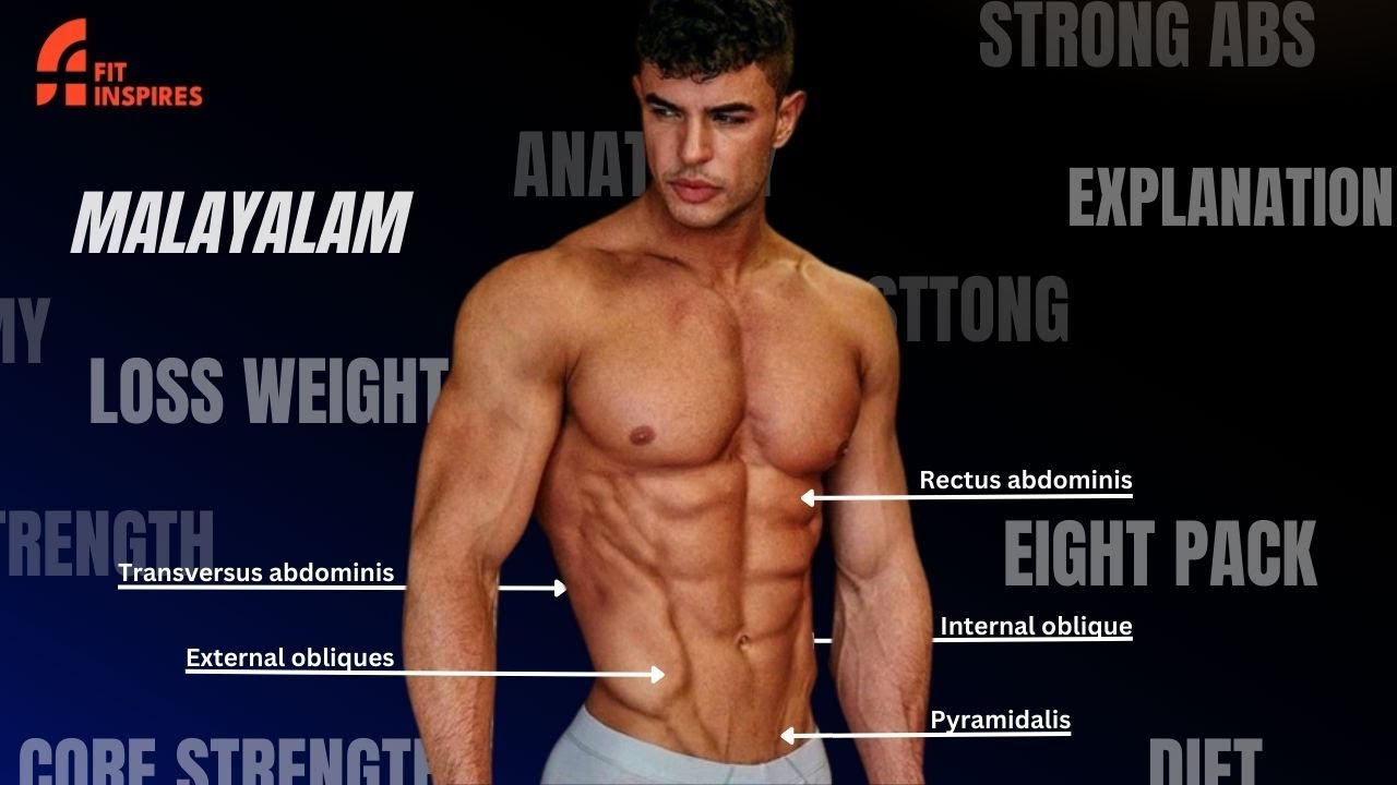 വയറാണോ പ്രശ്നം | STRONG ABS | EXPLANATION | SHEBIN | FITINSPIRES.... - YouTube