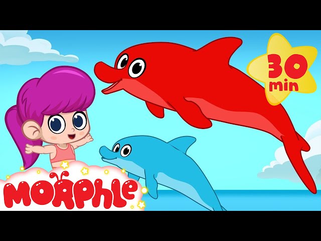 My magic dolphin Morphle plays with the mermaid girl - Videos For Kids