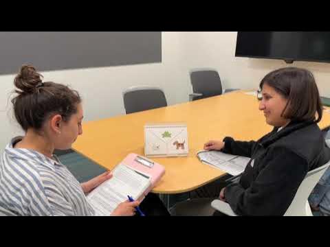 CELF-5: Word Classes - YouTube