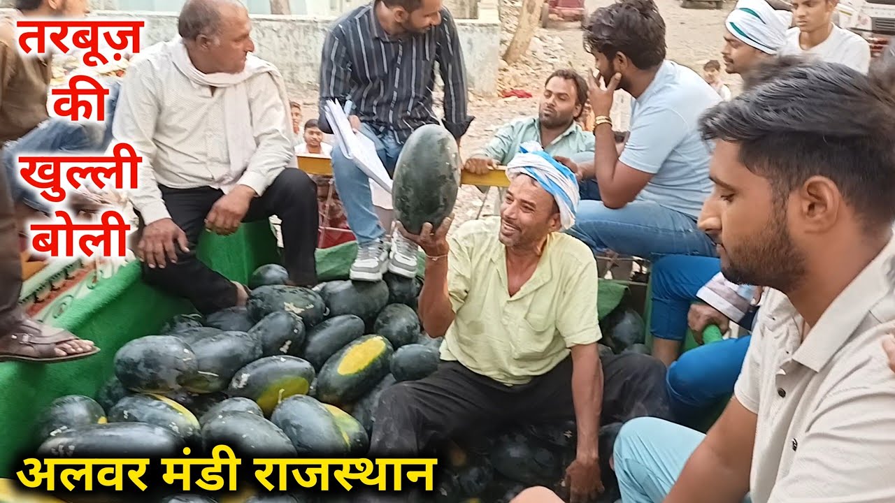 Watermelon Wholesale Rate Today Alwar Fruit Market Rajasthan / तरबूज के ...
