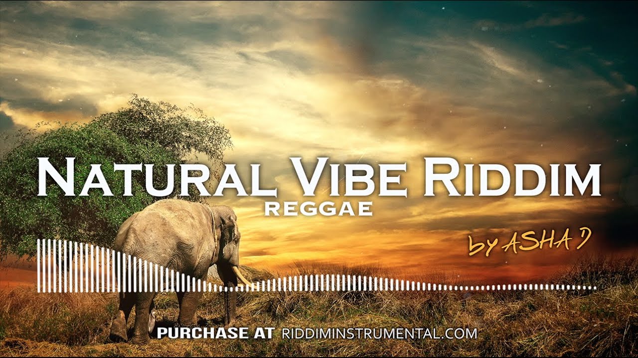 Natural vibe riddim - Roots one drop live reggae conscious instrumental ...