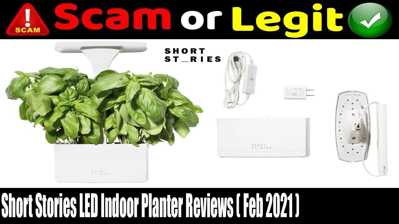 Short Stories LED Indoor Planter Reviews (Feb 2021) - Check Out Its ...