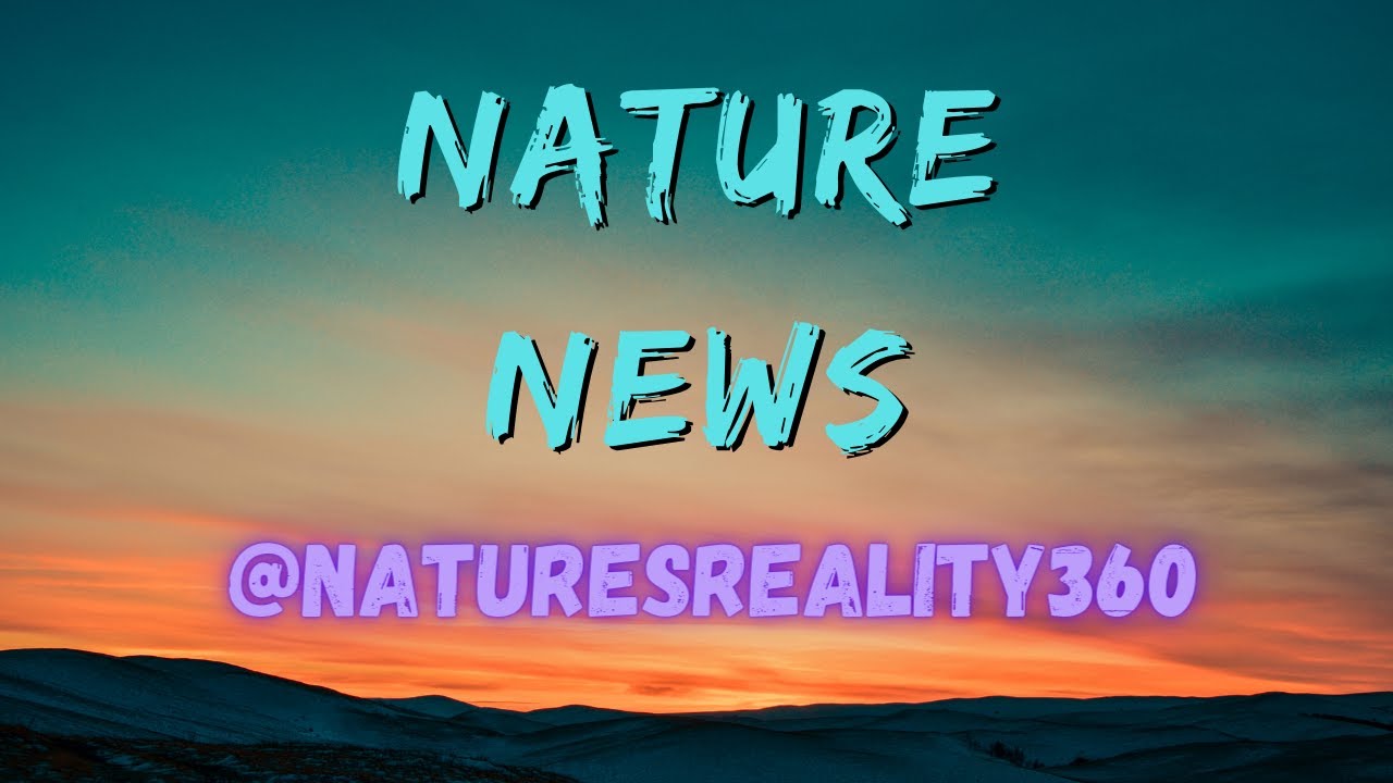 Nature News- Episode 1 - YouTube