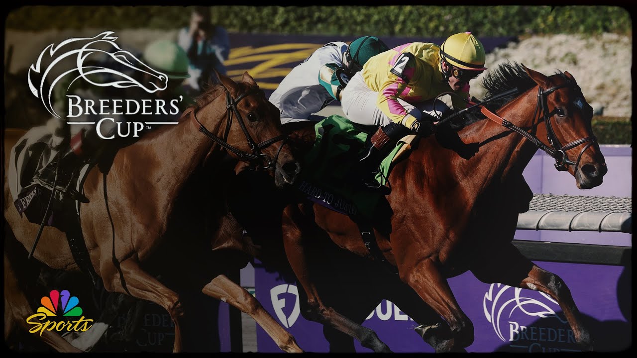 Breeders' Cup Classic post draw helps Fierceness, hurts others | NBC ...