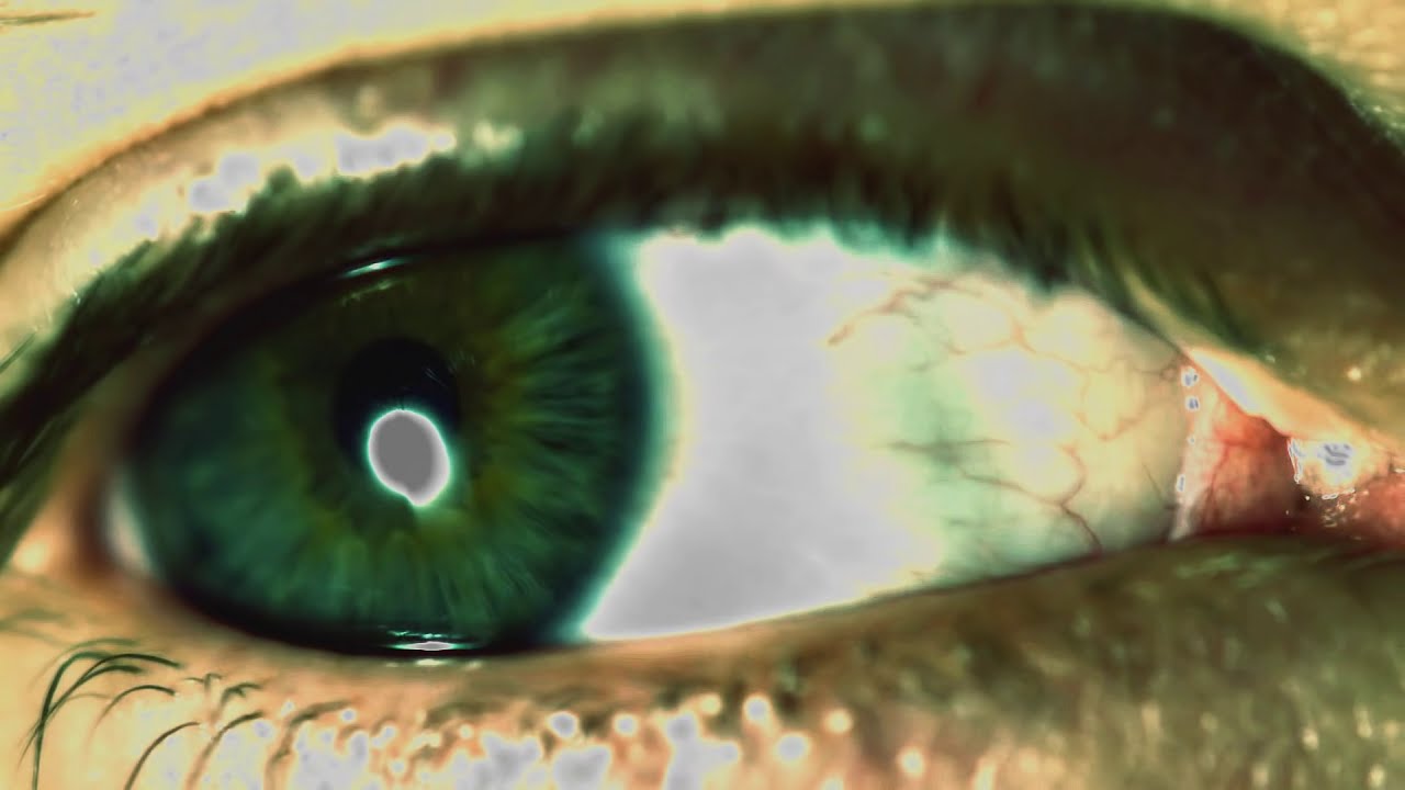 The Hunger Games Mockingjay Part 1 Peeta Hijacked