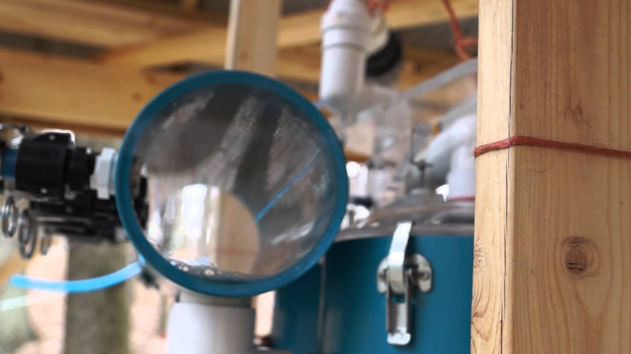 East Sap Releaser - YouTube