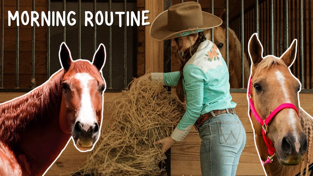MORNING ROUTINE WITH 3 PONIES IN THE WINTER! (Daily Horse Care Routine ...