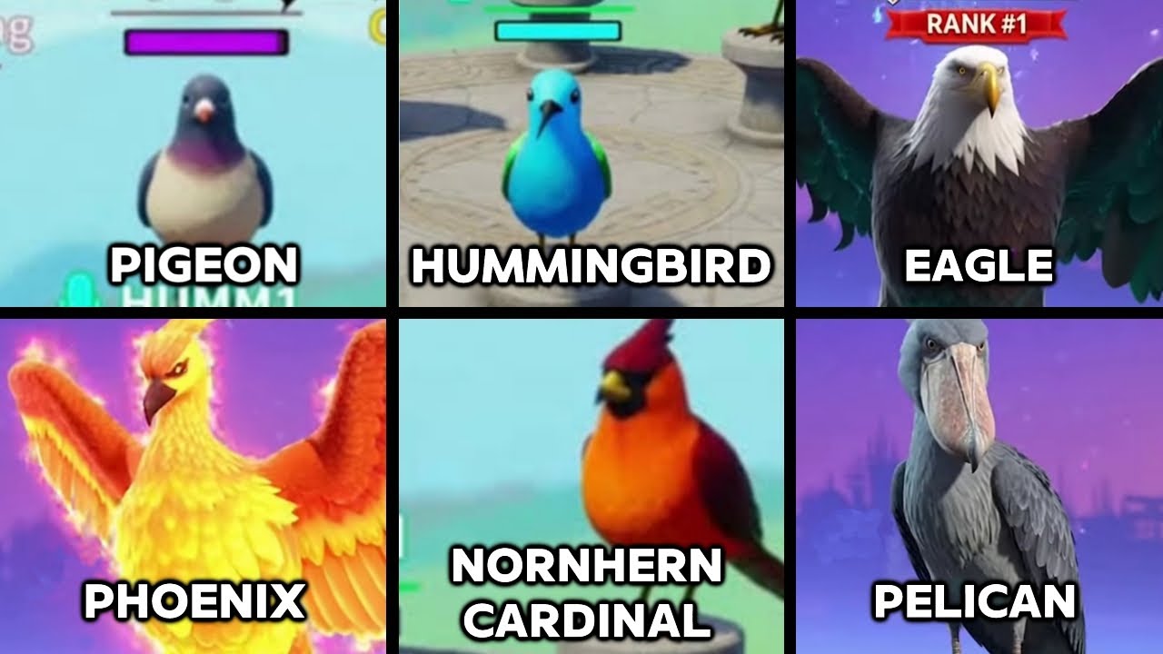 Bird Game 3 All Birds Gameplay / All Characters Bird Game 3 - YouTube