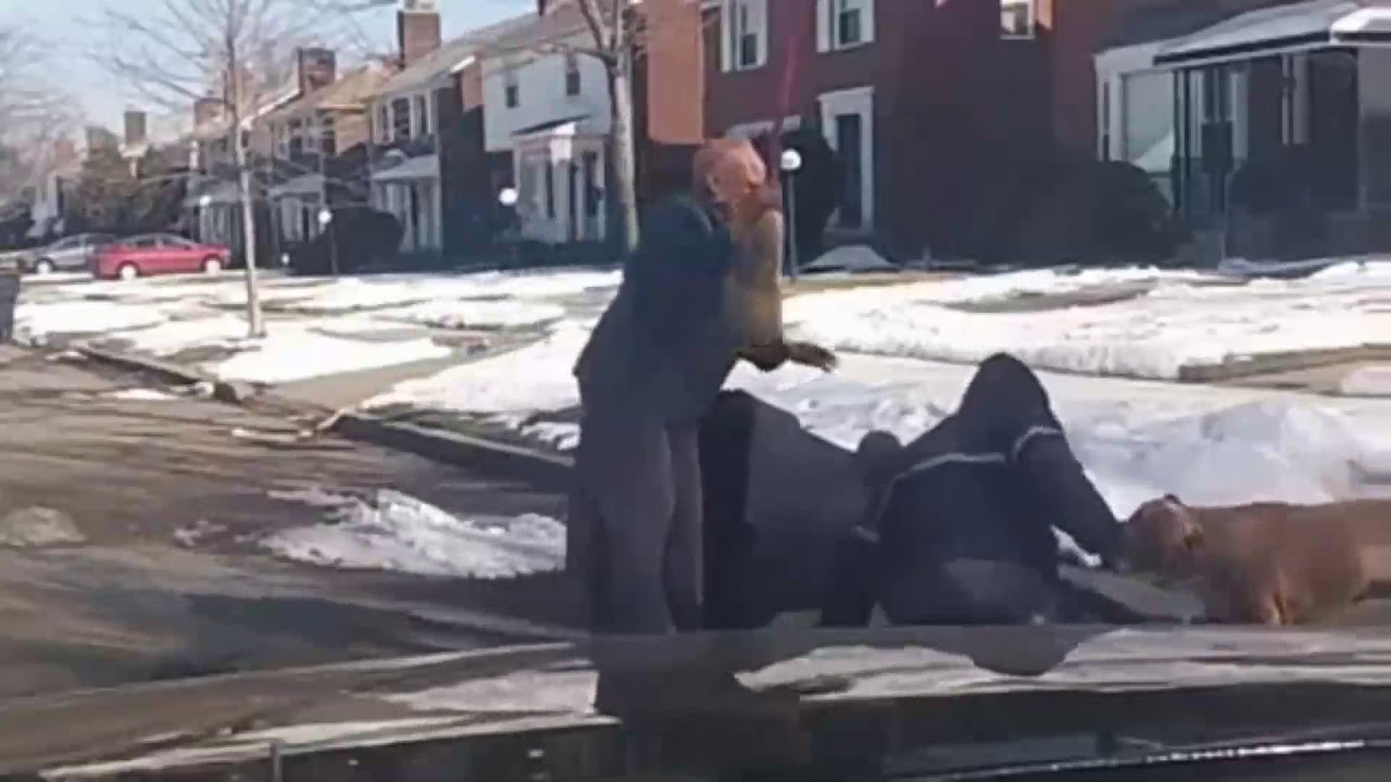 Pit Bull Attacks USPS Mailman (2019) - YouTube