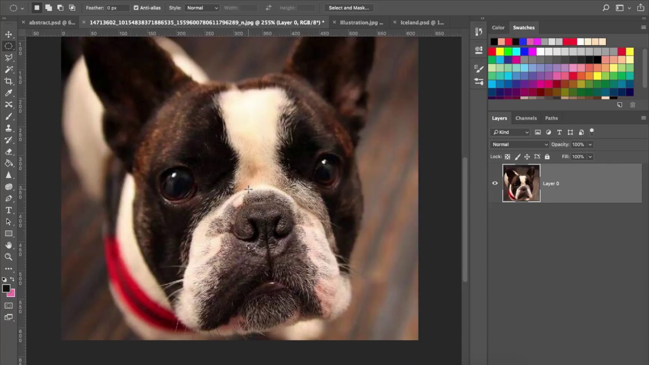 Photoshop CC How To Adjust Marquee Selections YouTube photoshop-cc-how-to-adjust-marquee-selections-youtube