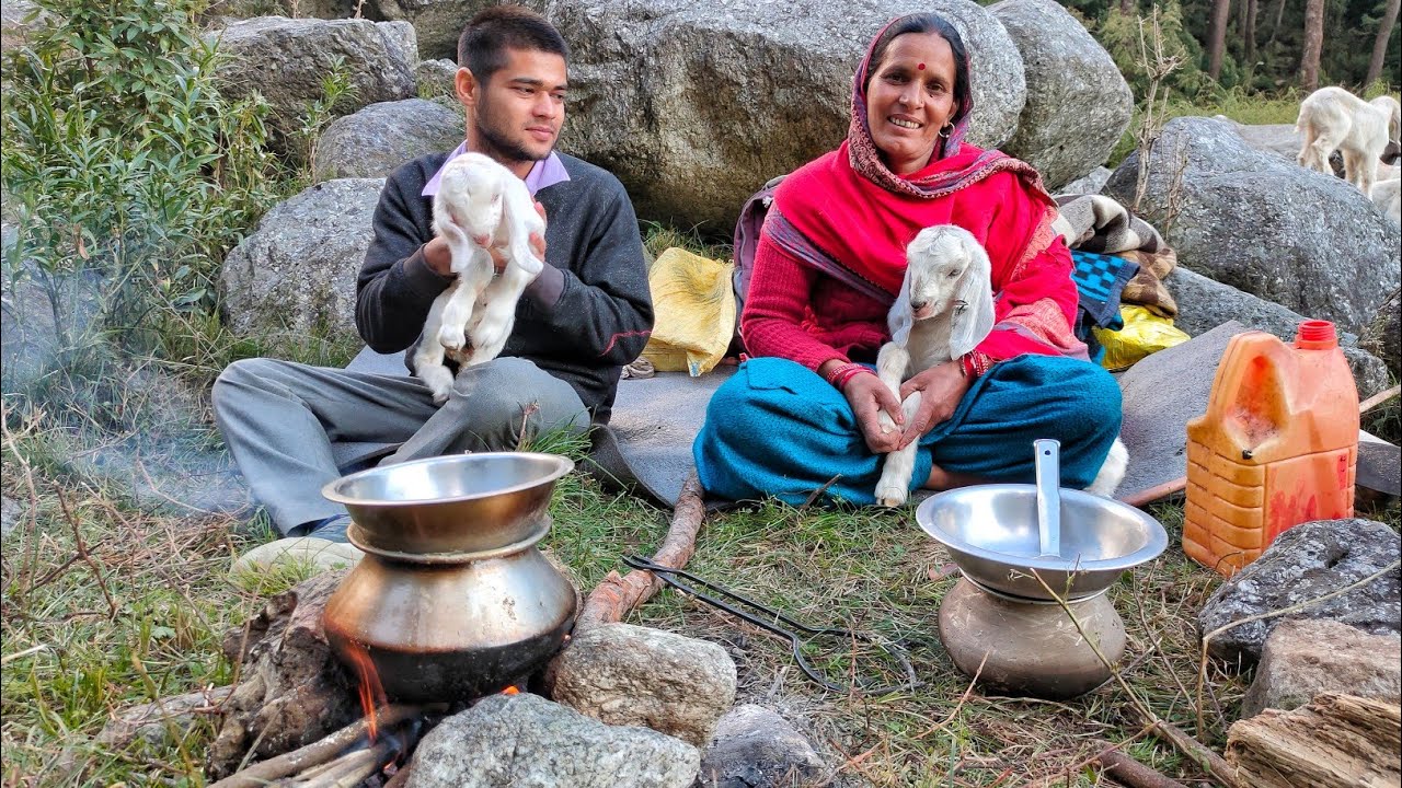 Tribe Trek: Exploring Gaddi Culture in the Mountains! - YouTube