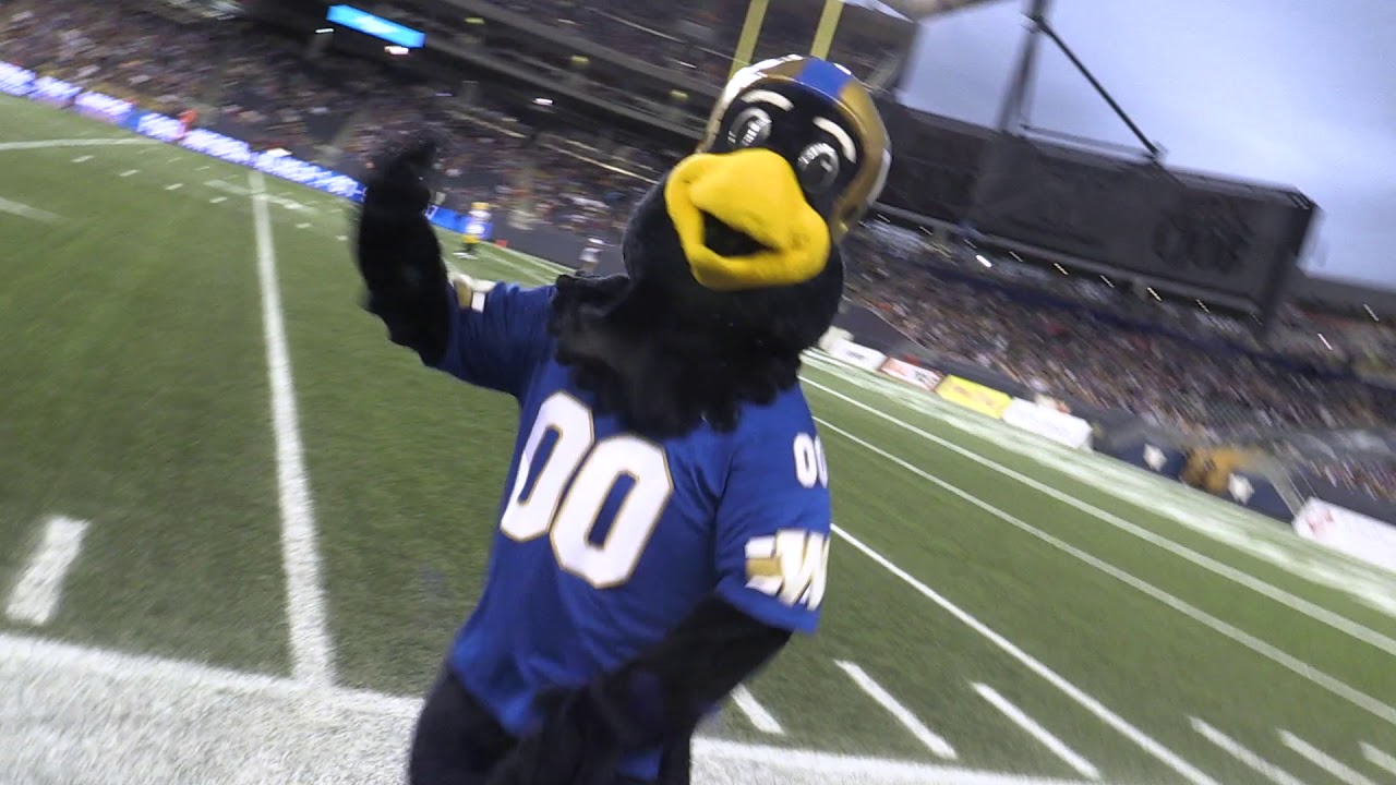 Buzz & Boomer VIZ - YouTube