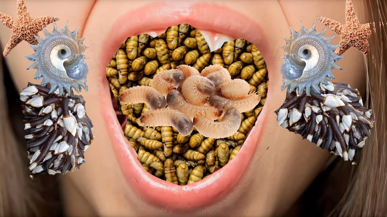 ASMR Remove dog ticks & Trypophobia Infected Mouth | ASMR Animation ...