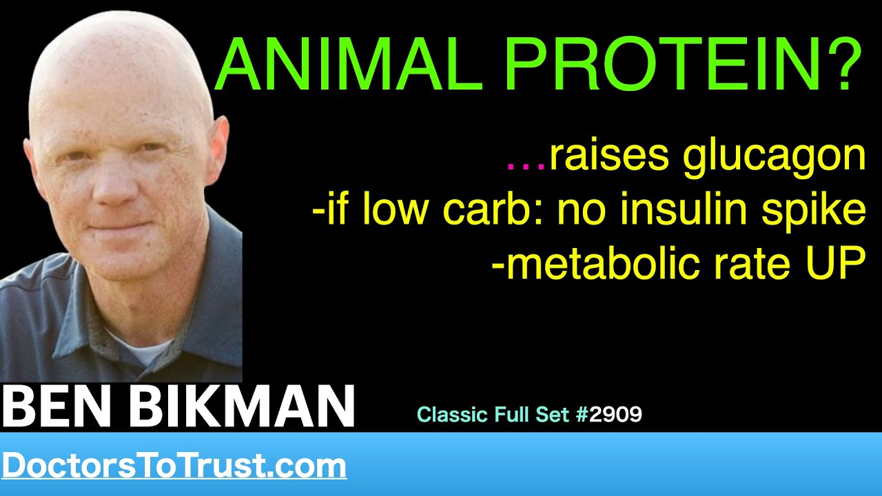BEN BIKMAN | ANIMAL PROTEIN!! -raises glucagon -if low carb: no insulin ...