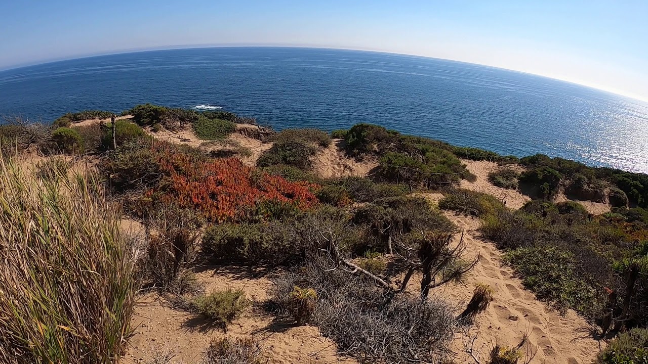 Point Dume Cali - YouTube
