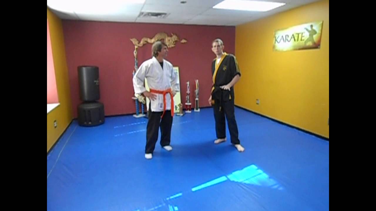 Kenpo for beginners Lesson 14 (free karate) - YouTube