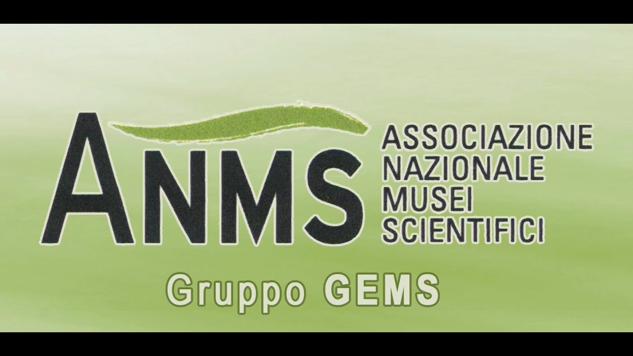 Seconda presentazione dei Gruppi di Lavoro attivi in ANMS - YouTube
