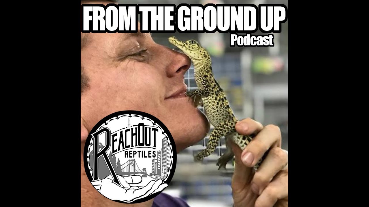 Garrett Hartle of Reach Out Reptiles - From The Ground Up 65 - YouTube