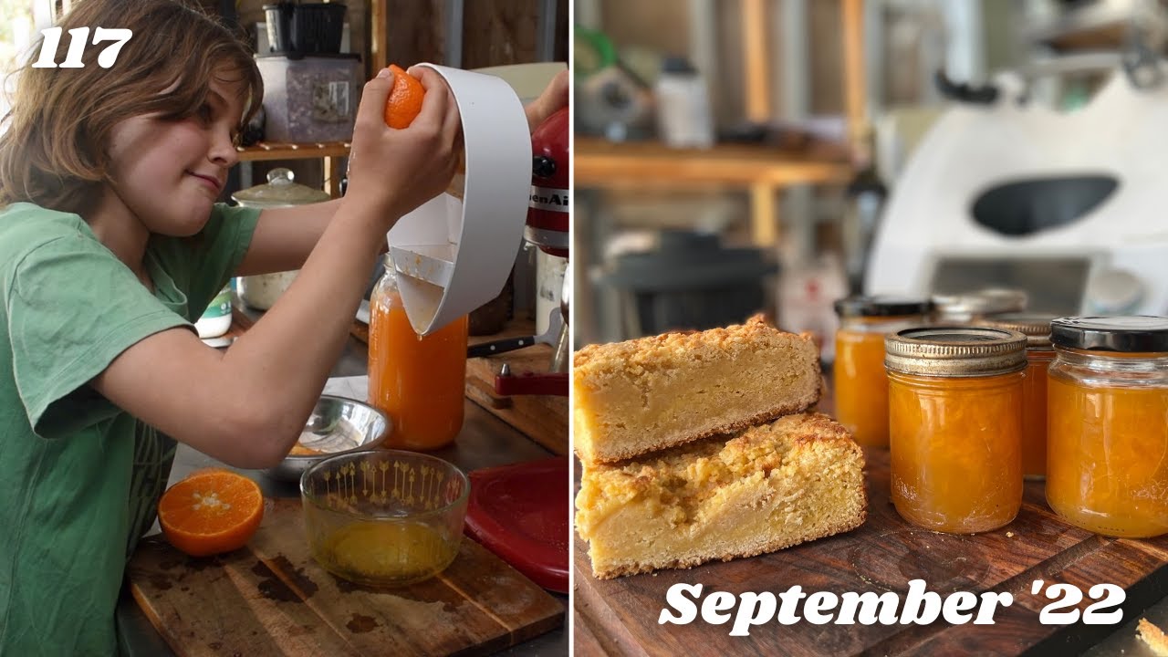 Preserving Eggs and Mandarins | Thermomix TM6 Jam first try | Mandarin ...