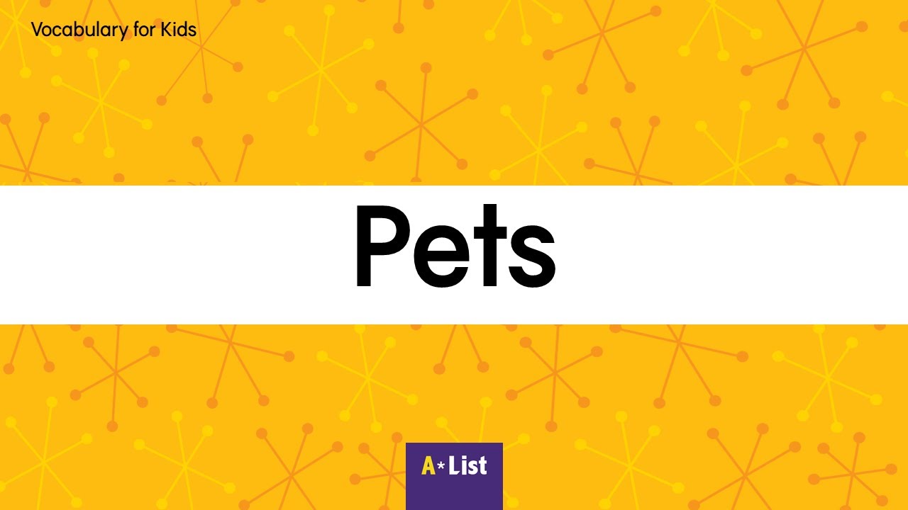 Vocabulary for Kids l Pets - YouTube