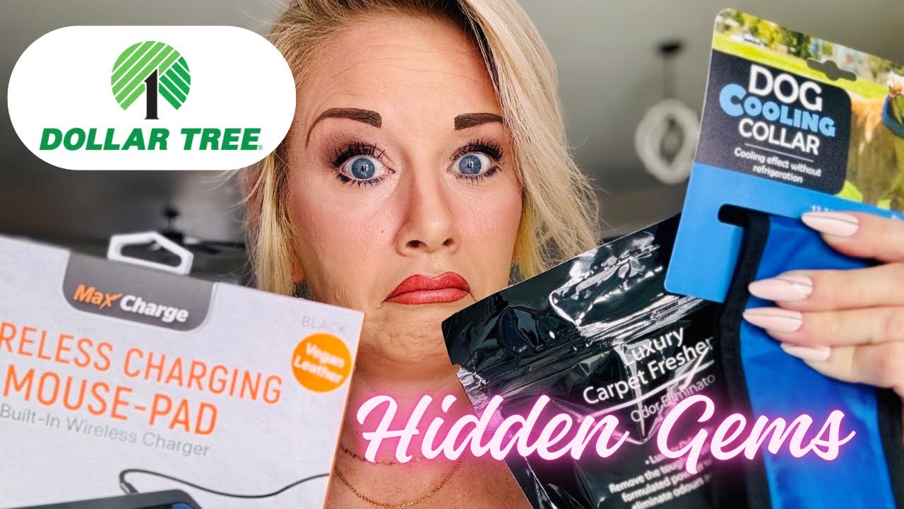 Unveiling Dollar Tree's Best-Kept Secrets: Discover Hidden Gems on a ...