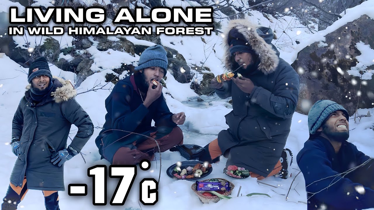 Living Alone in the wild Himalayan Forest for 12 hours (-17•C, -26•F ...