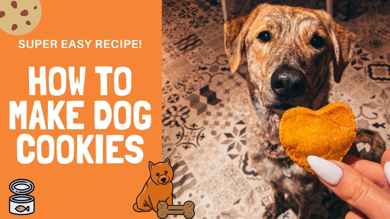 How to make dog cookies - super easy recipe! - YouTube