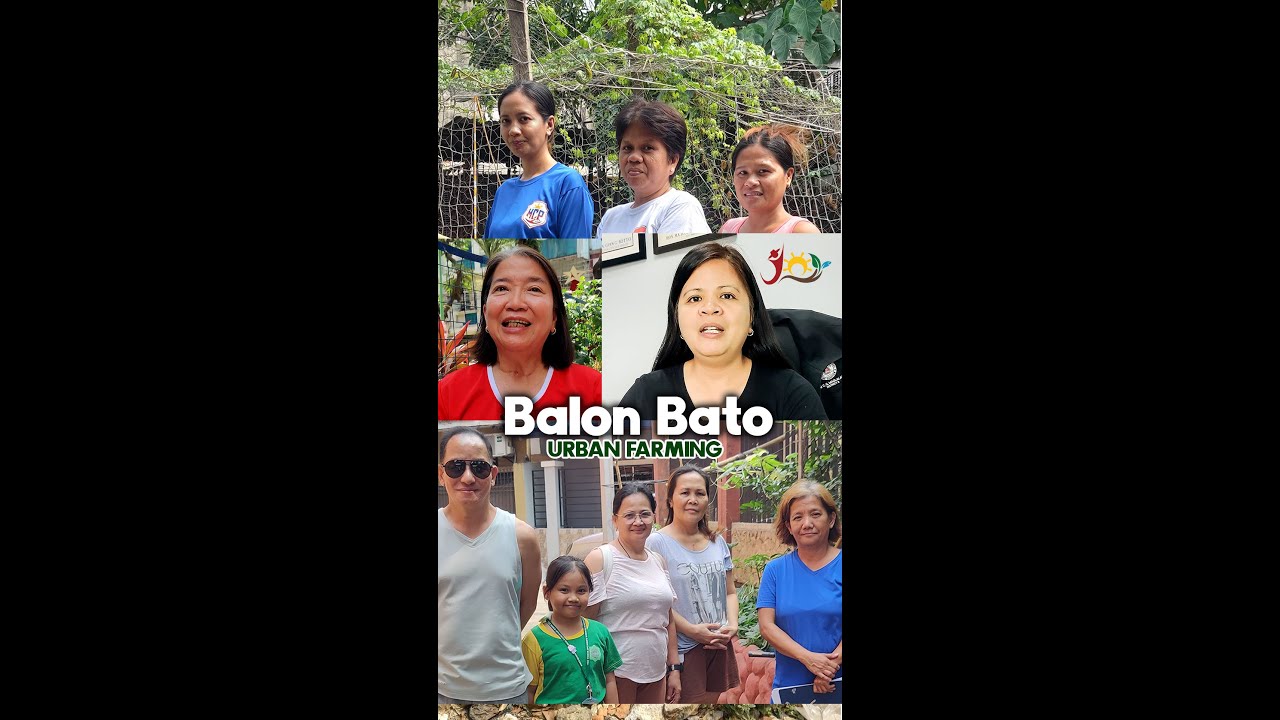 Balon Bato Urban Farming - JOUF - YouTube