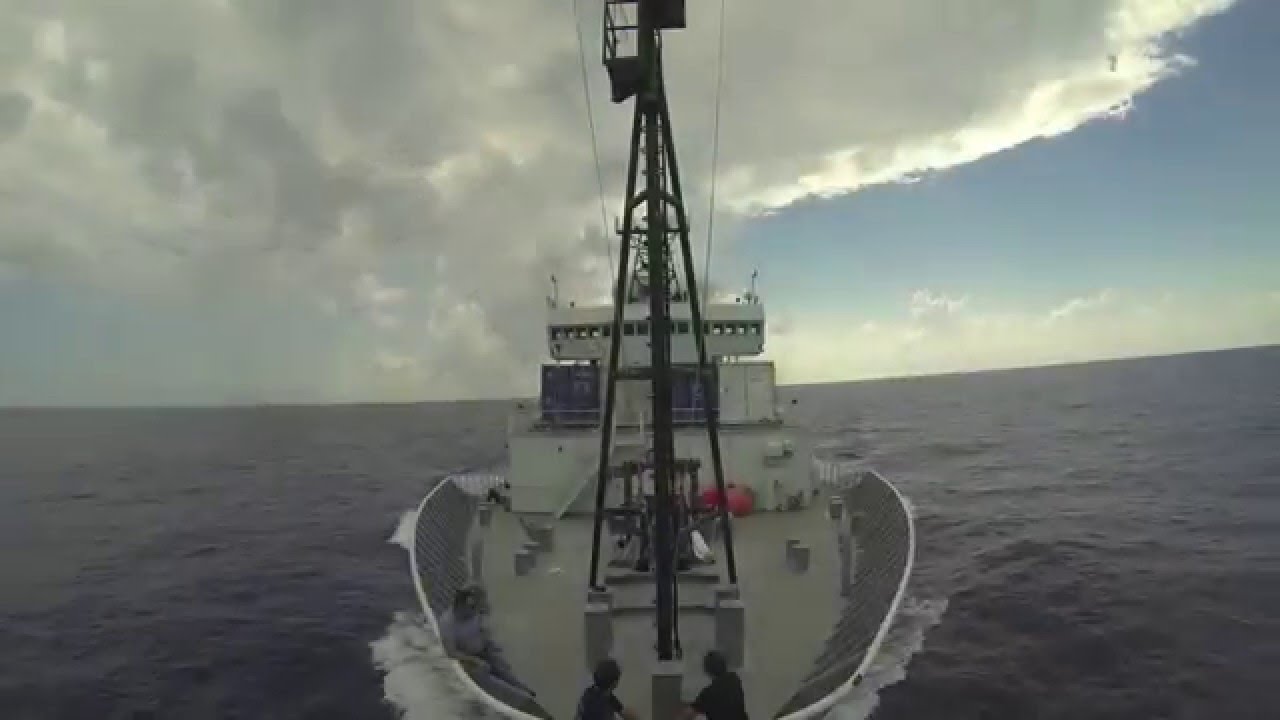 Glover, Dahlgren & Smith 2015 Clarion-Clipperton Zone DNA Taxonomy ...