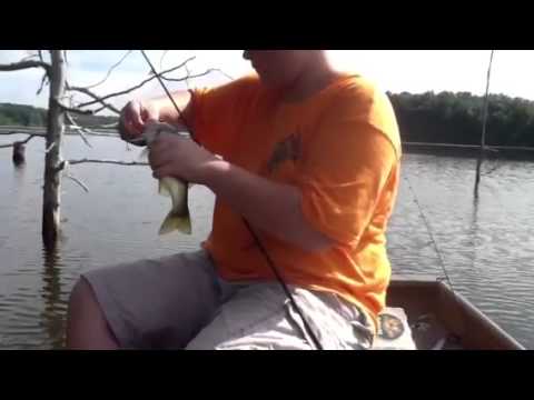 Bass Fishing:Briery Creek Lake - YouTube