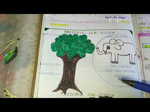 Poster Design On Preserve Eco System ।Save The Earth।Save Environment ...