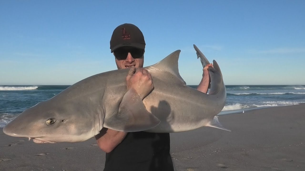 The Mighty Mulloway Quest: Episode 9 - GIANT Gummy Shark! - YouTube