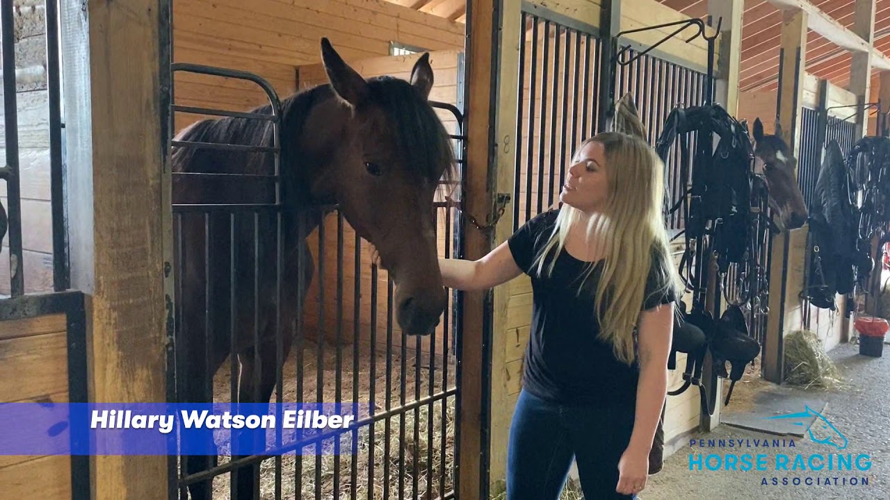 Mike Watson Racing Stable - YouTube