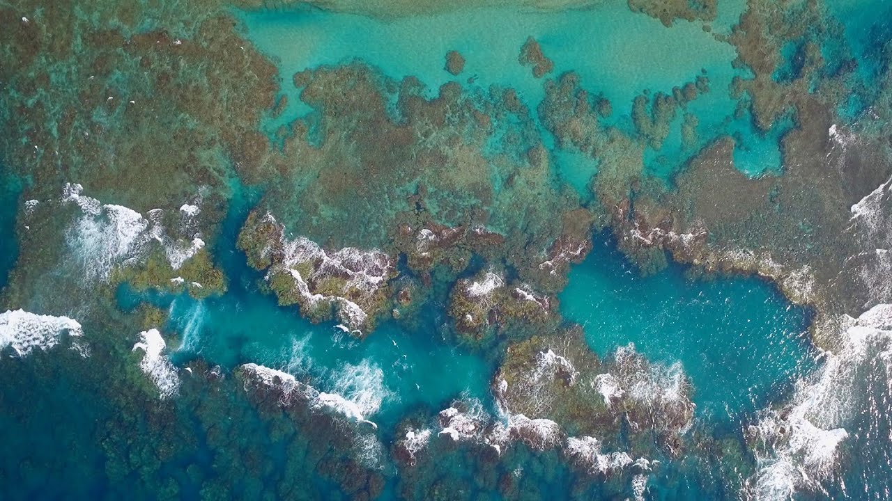 7 beaches in the northwest of Puerto Rico - Shaks Beach -4k - YouTube