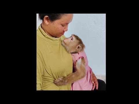 Daughter yaya monkey understand on hugging Mommy - YouTube