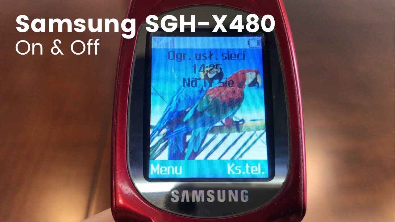 Samsung SGH-X480 - On & Off - YouTube