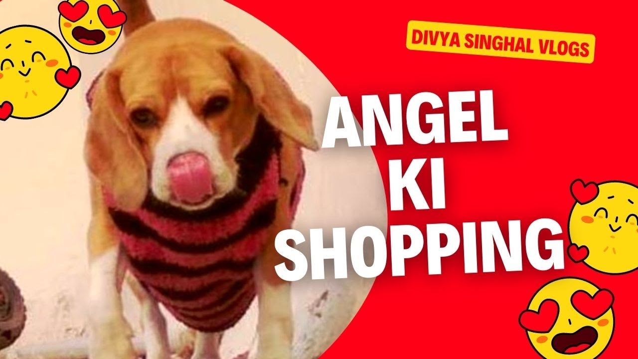 ANGEL KI SHOPPING || CUTE DOG, HUGE PUPPY ESSENTIALS HAUL!!! - YouTube