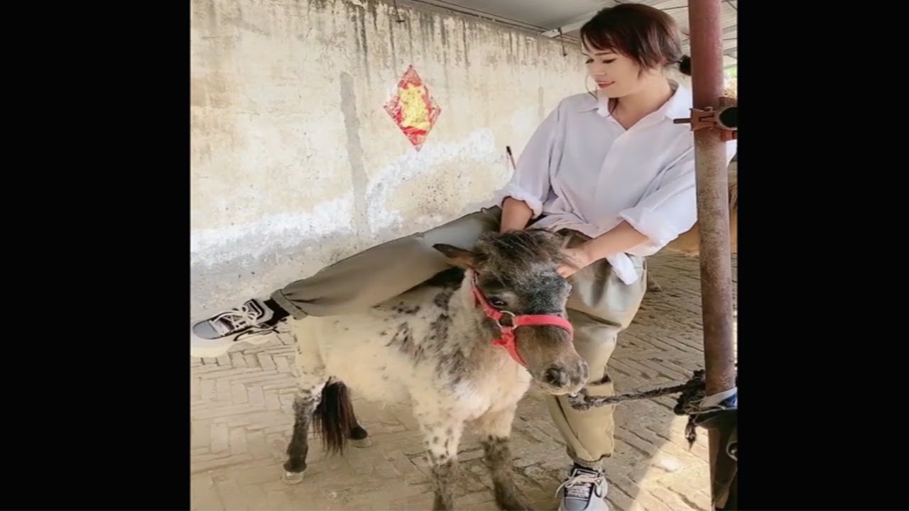 Girls Small Pony Riding - Teaser - Riding Lovers Official - HD - YouTube