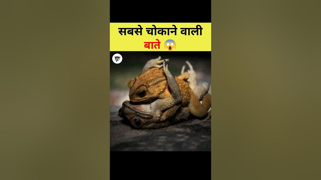 Top 3 crazy interesting facts😜 #shorts - YouTube