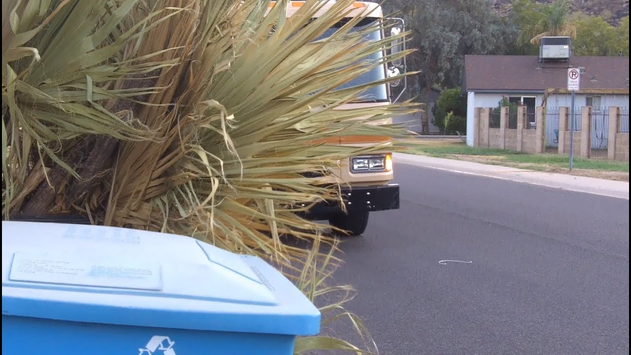 OVERFILLED Refuse Container with Palm Fonds!! - YouTube