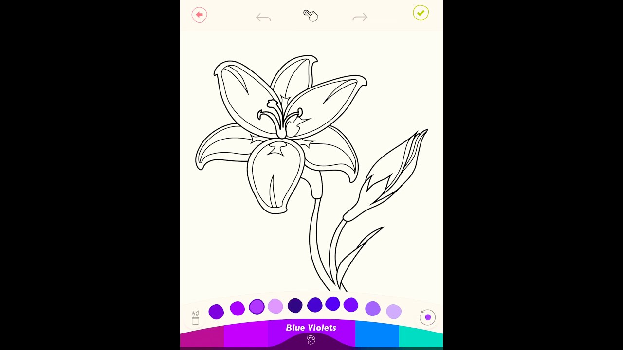 How To Draw The Flower From Tangled