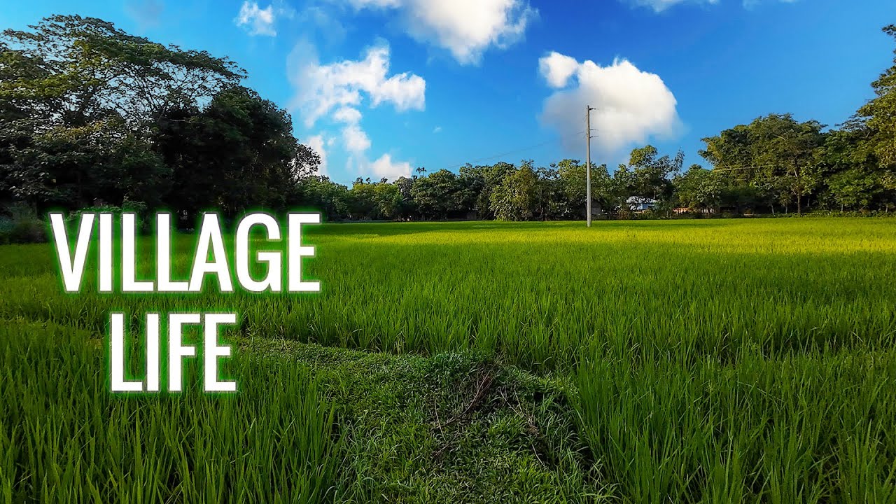OUR VILLAGE - YouTube
