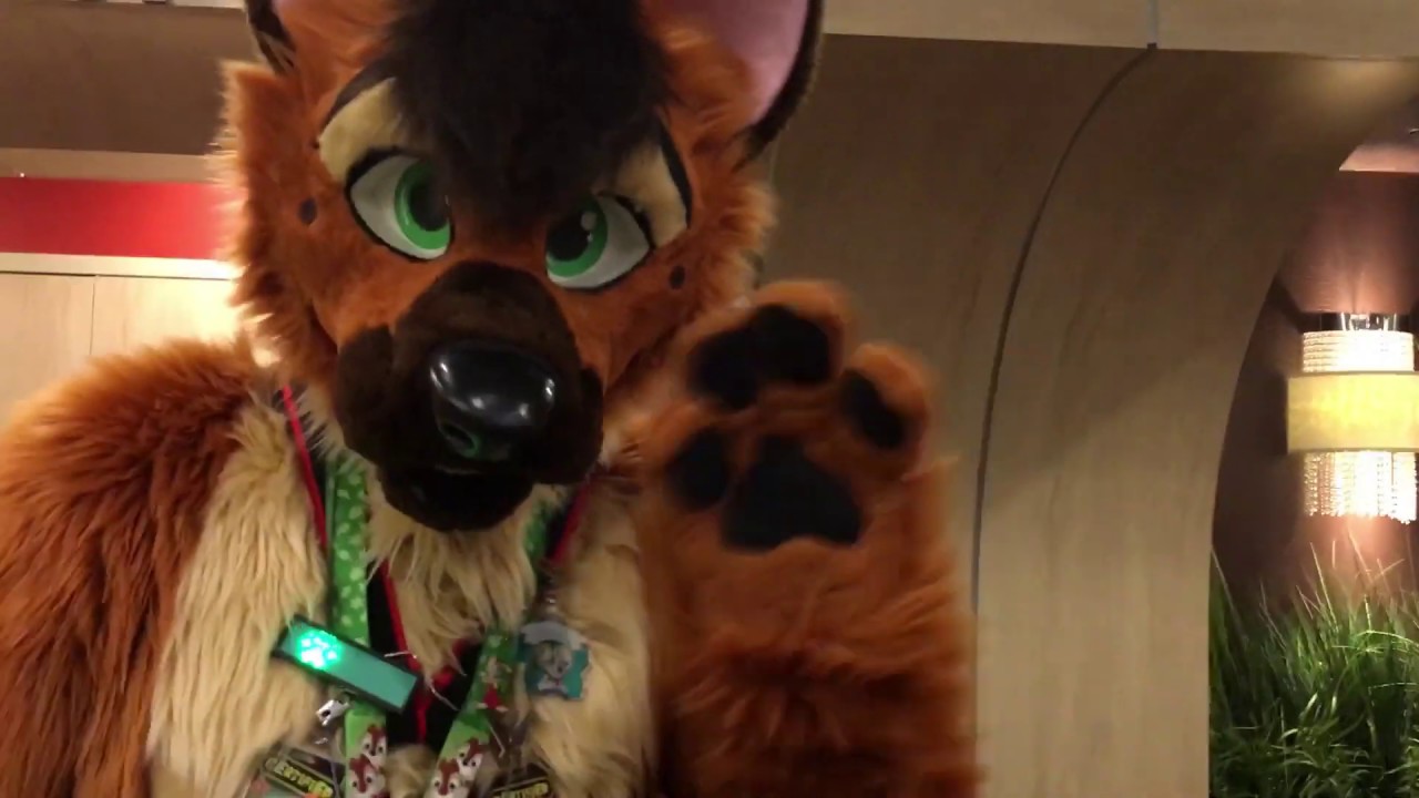 BLFC 2019 Con Video - YouTube