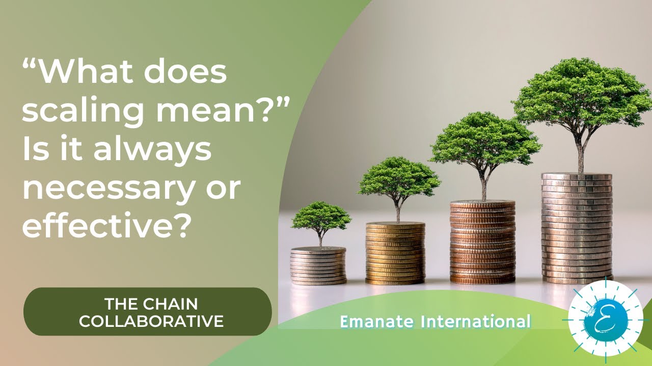 “What does scaling mean?” Is it always necessary or effective? - YouTube