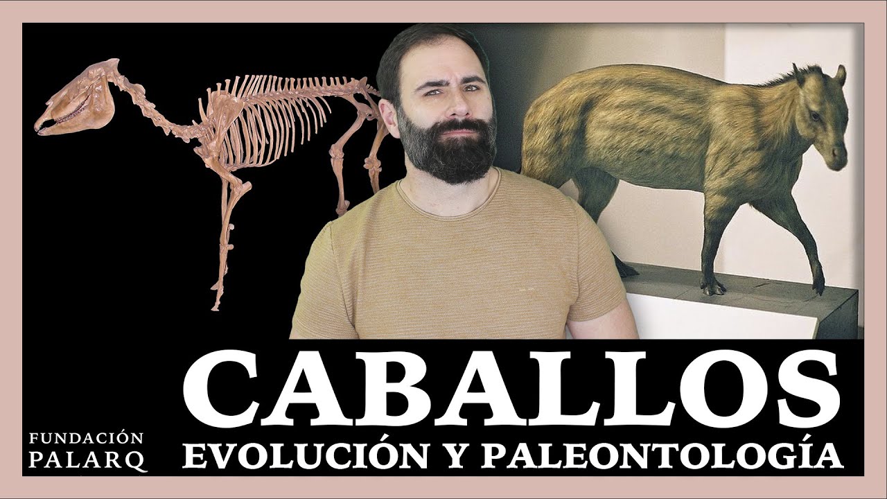 Historia Evolutiva de los Caballos: Un Viaje Paleontológico - YouTube