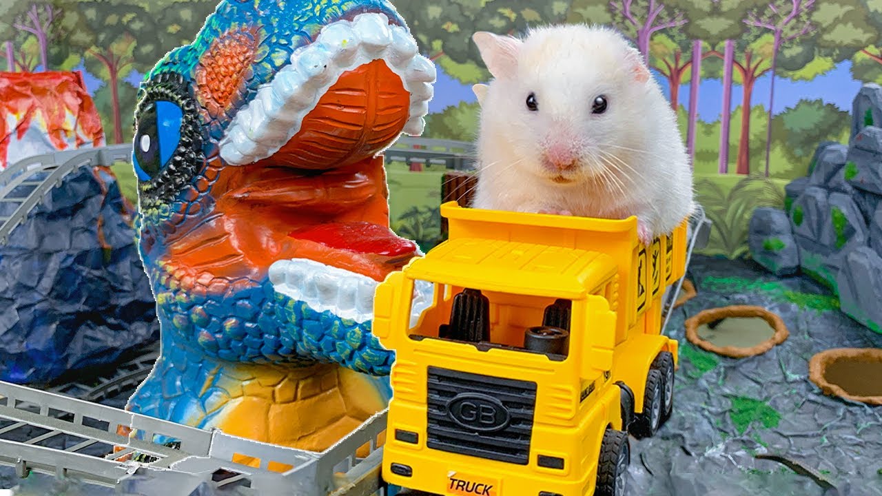 Hamster Dinosaur Maze Escape Car In Rainbow Pool Ball 🐹 Hamster Maze In ...