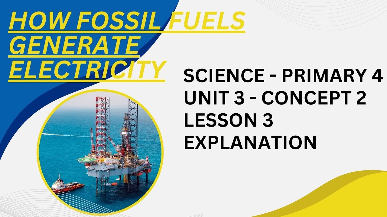 Science - Primary 4 - Unit 3 - Concept 2 - Lesson 3 Explanation - YouTube