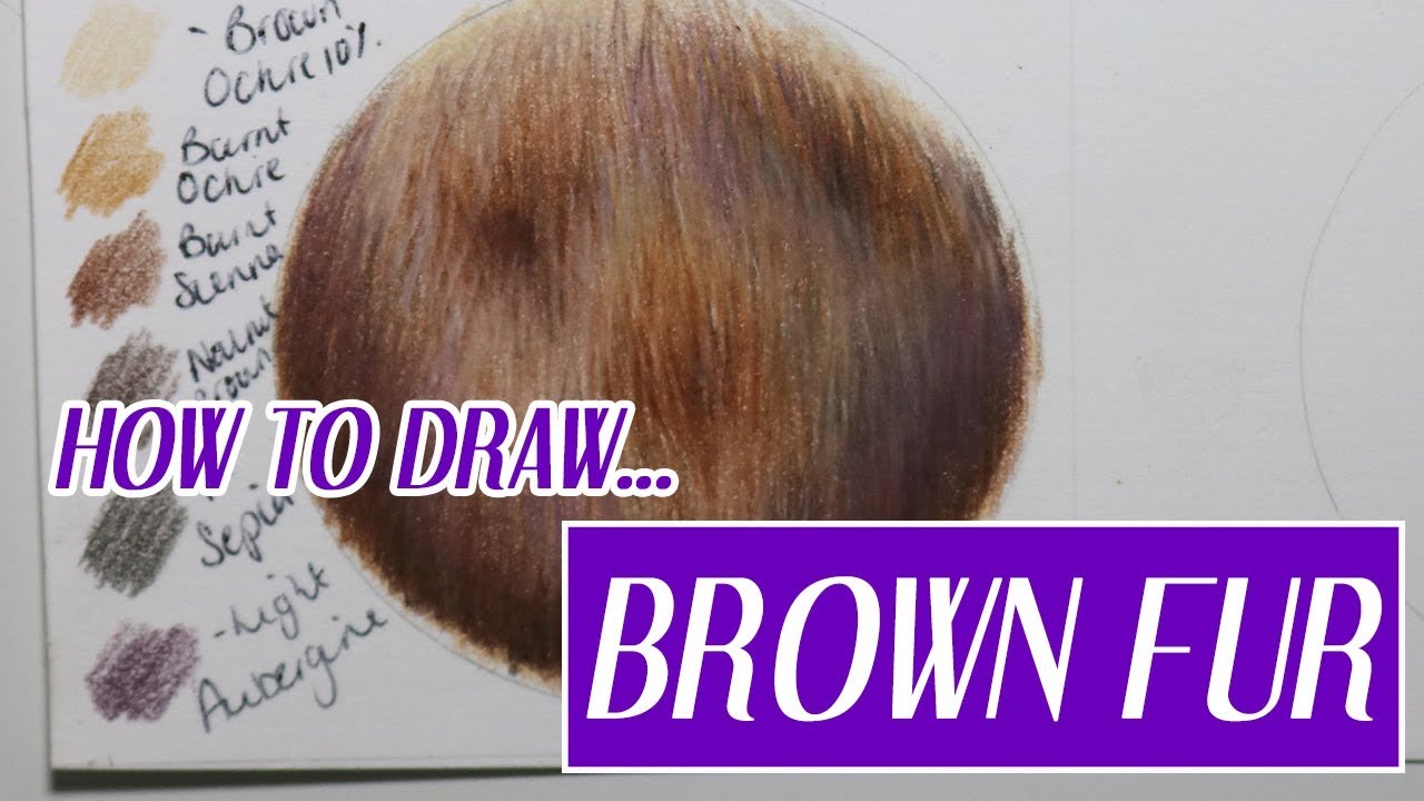 REALISTIC BROWN FUR | Coloured Pencil Tutorial | Christmas Advent Day 5 ...