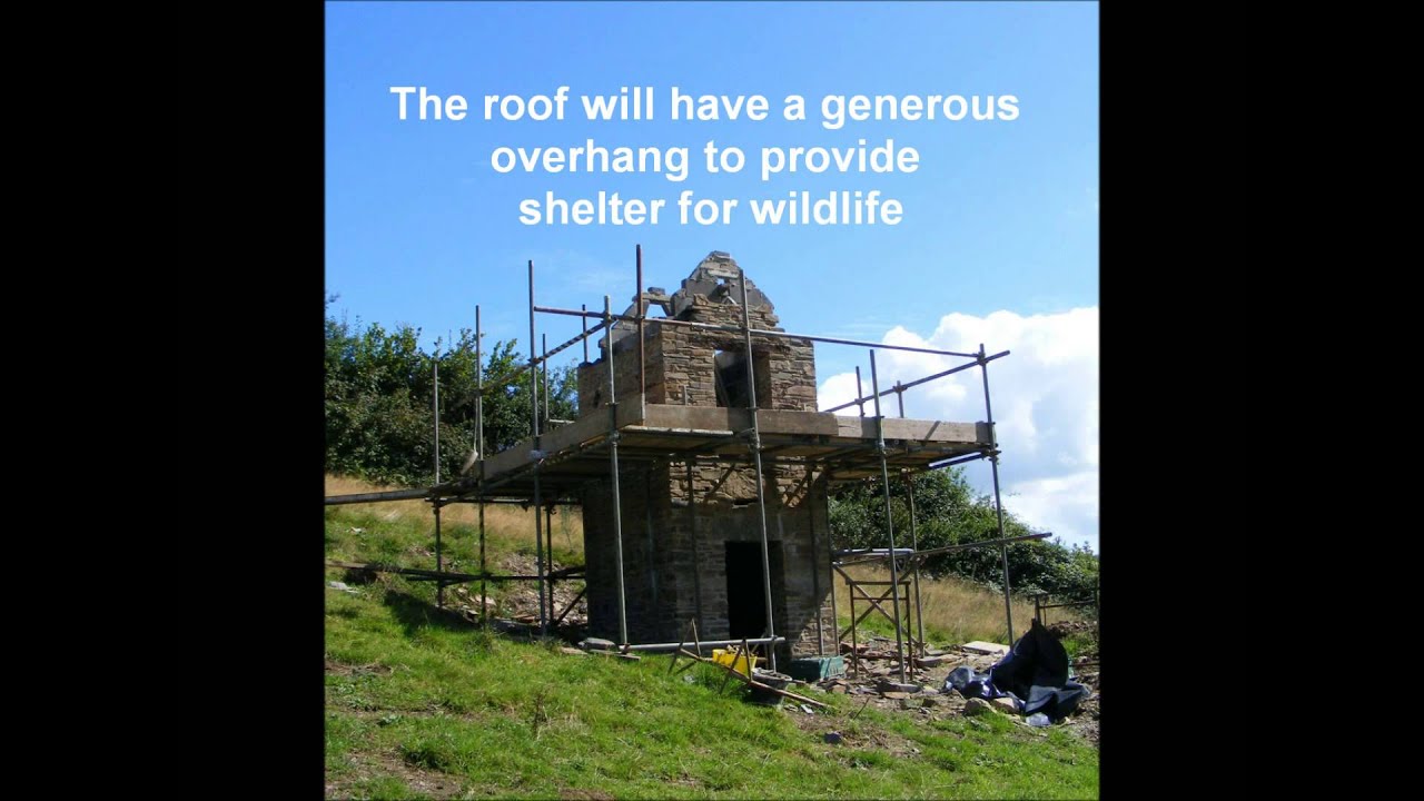 Barn Owl Trust - Wildlife Tower - YouTube